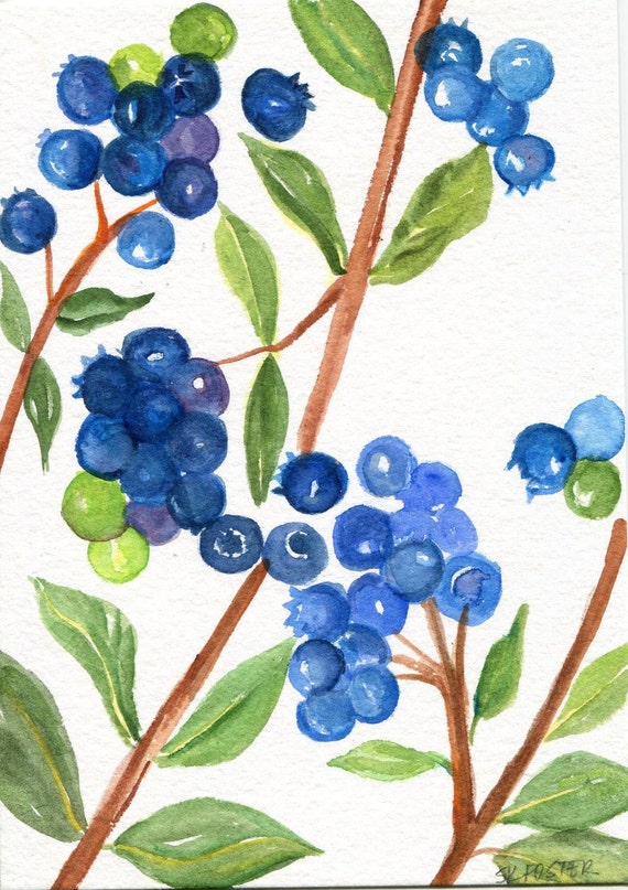 Blueberries Watercolor Painting Original Small Fruit Art Home