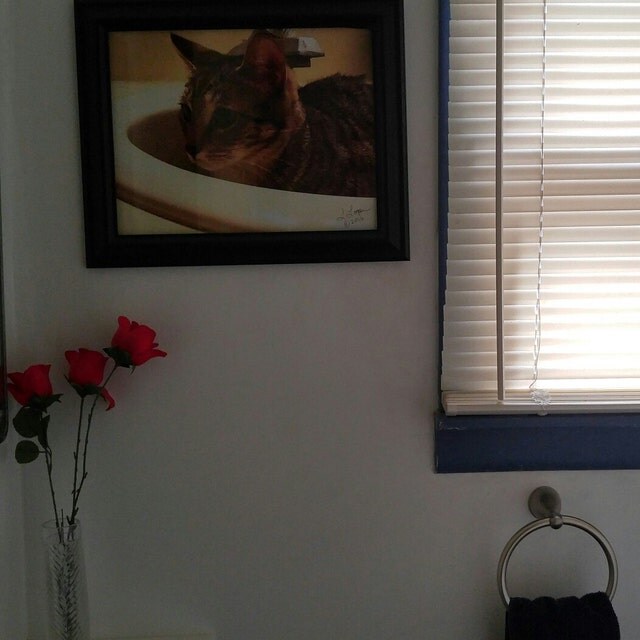 Tenacious Art & Such by TenaciousImages on Etsy