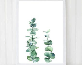 Eucalyptus leaves | Etsy