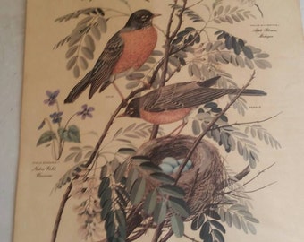 Arthur singer | Etsy