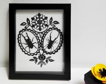 Insect shadow box | Etsy