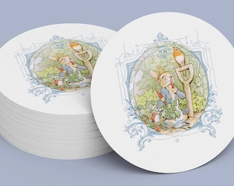 Peter rabbit shower | Etsy