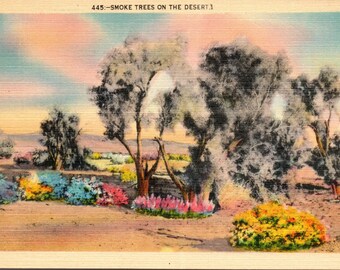 Desert postcard | Etsy