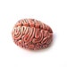 Ceramic Brain Sculpture Desk accessory Anatomy by 99heads on Etsy