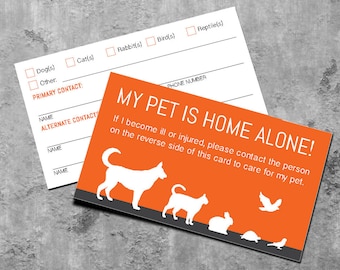 Pet home alone | Etsy