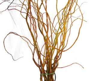 Twig wreaths | Etsy