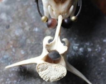 Deer vertebrae | Etsy