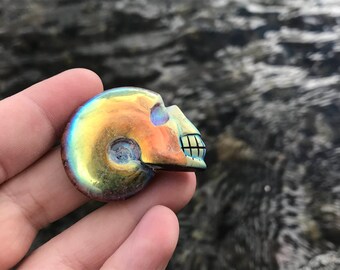 Opal fossil | Etsy