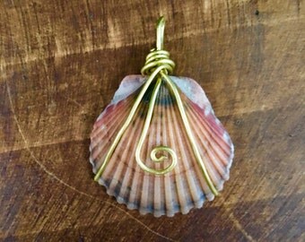 Items similar to small conch sea shell wire wrapped necklace on Etsy
