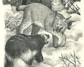 Lynx drawing | Etsy