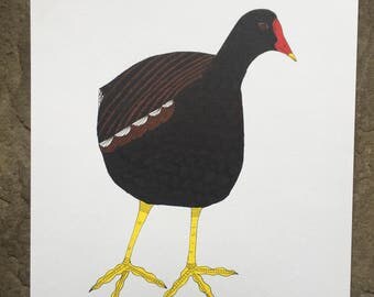 Moorhen | Etsy