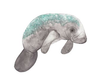 Manatee watercolor | Etsy
