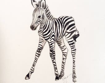 Zebra illustration | Etsy
