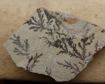 Dendritic rhyolite | Etsy