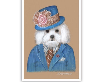 Maltese clothes | Etsy