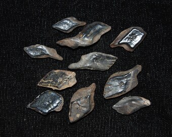 Gar fish scales | Etsy