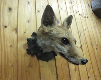 Items similar to Felt Fox faux taxidermy head on Etsy