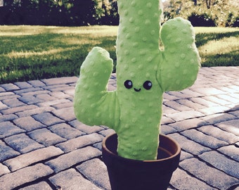 Cactus pillow | Etsy