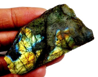 Unique madagascar palm related items | Etsy