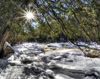frosted trees in Winter snow steam fog nature fine art