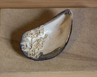 Mussel shells | Etsy