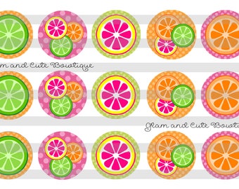 Slice of Lime Clipart Citrus Slices Clip Art Lemon Orange