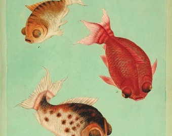 Zen Wall Art Asian Wall Art fish art print set of 6 koi art