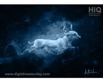 Dog patronus | Etsy