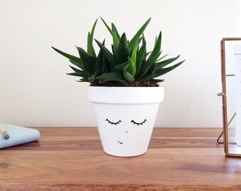 Cactus planter | Etsy