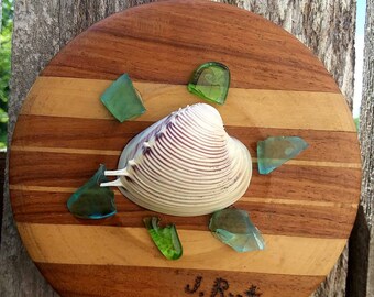 Sea shell art | Etsy