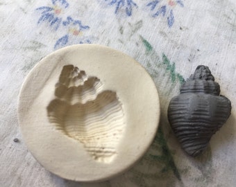 Seashell mold | Etsy