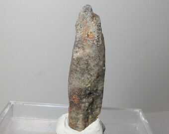 Witches finger | Etsy