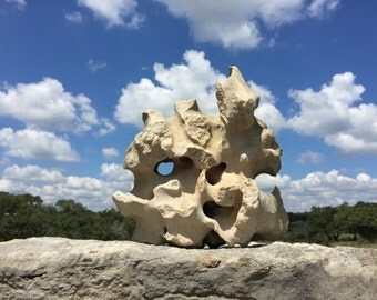 Fish tank plants | Etsy