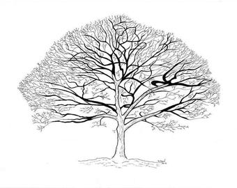 Pen and ink trees | Etsy