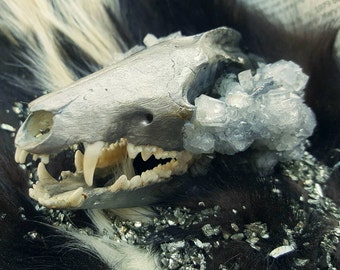 Unique handmade crystal and bone jewelry by KittyBombCurios