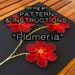 String art pattern & instructions Plumeria DIY