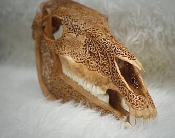 Cow bone carving | Etsy