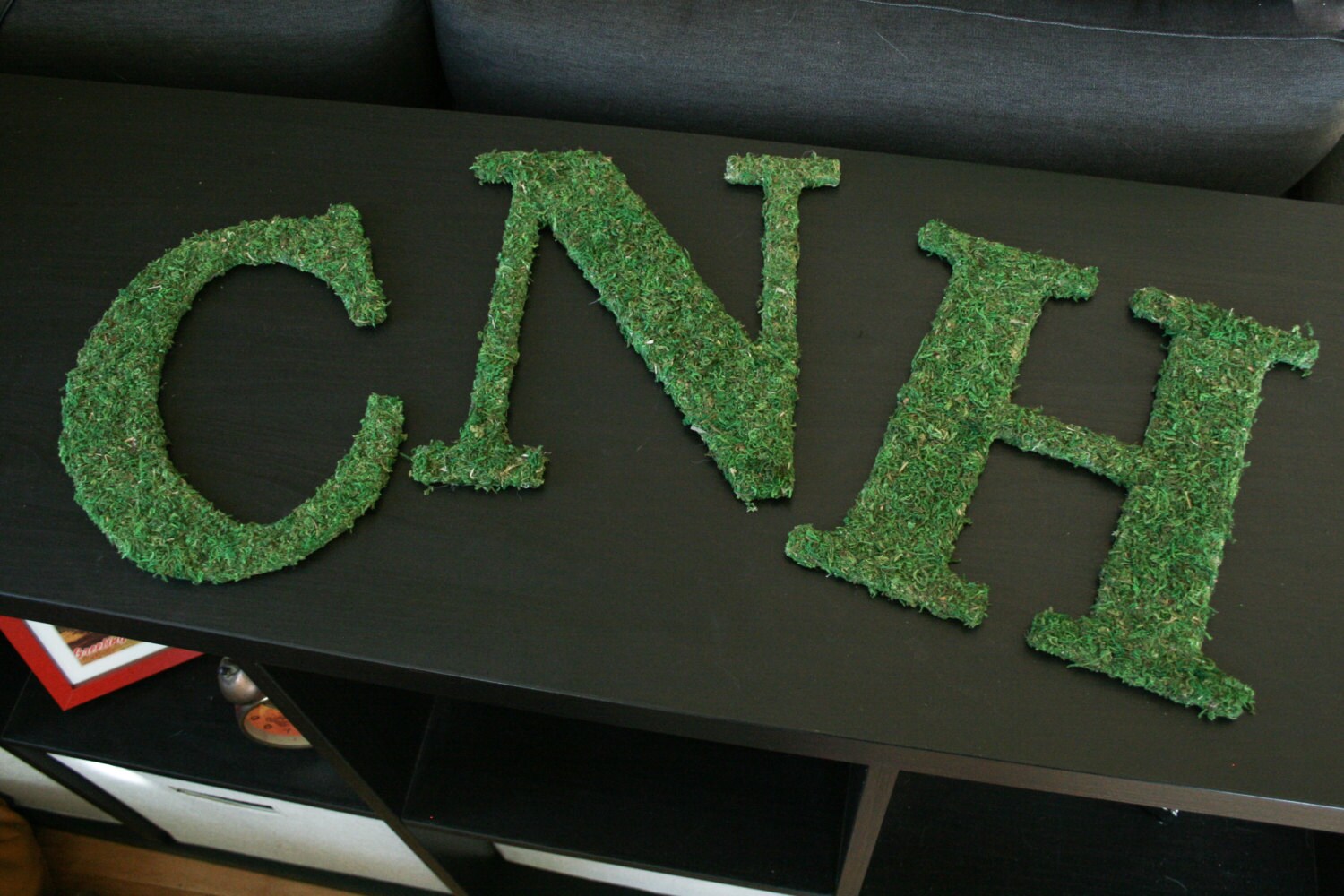 10 Moss Monogram Letter Art Moss Covered Initial by CellarWindow