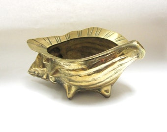 Conch shell planter | Etsy