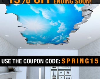 Ceiling decals | Etsy