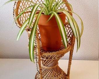 Chair planter | Etsy