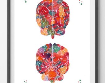 Brain watercolor print anatomy art brain lateral view poster