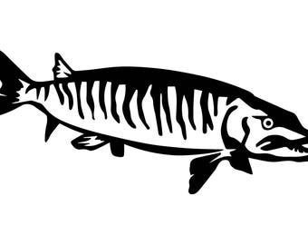 Big fish decal | Etsy