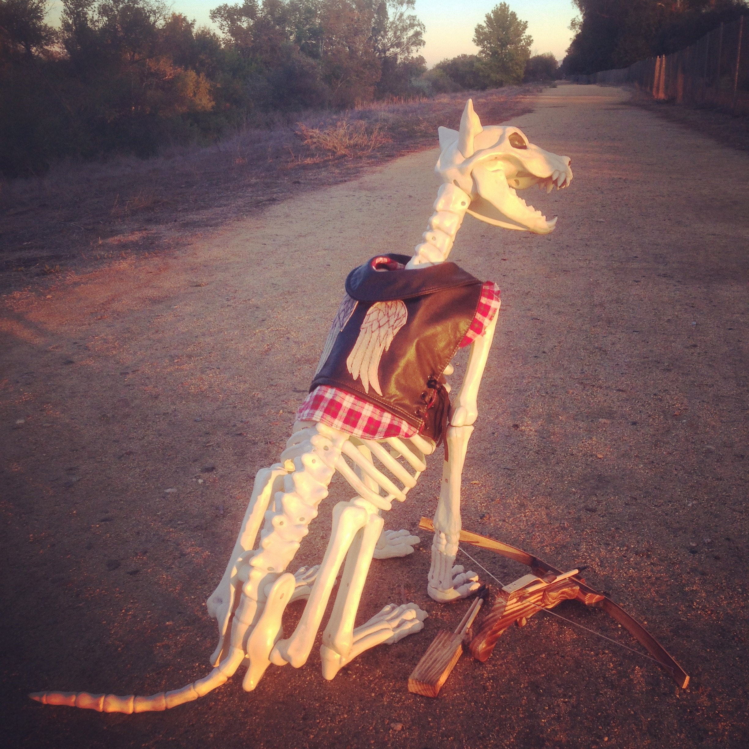 Specialty and Custom-Made Dog Costumes by HOUNDSofHELLBoutique