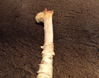 Deer femur | Etsy