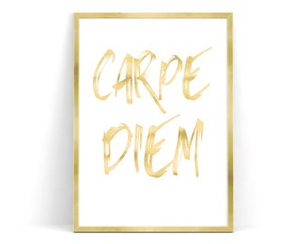 Carpe diem sign | Etsy