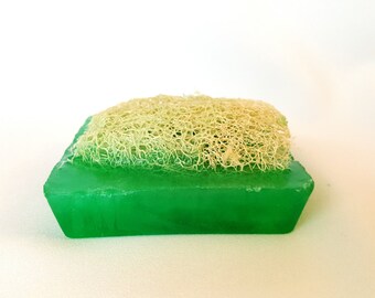 Luffa soaps | Etsy