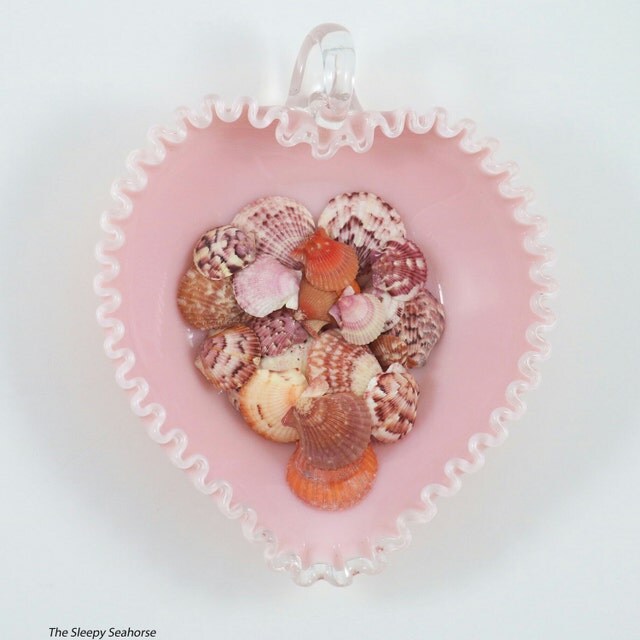 Seashell creations from the beautiful Florida by TheSleepySeahorse