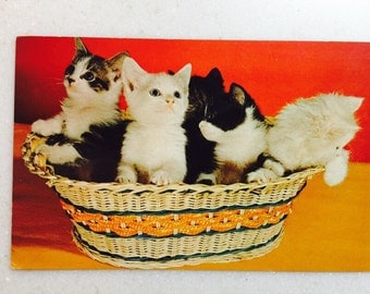 Vintage cat postcard | Etsy