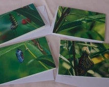 Unique nature postcard related items | Etsy